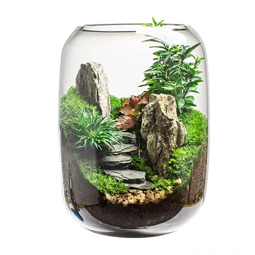 Enhance Your Desk with Tiny World – Terrarium, Nature, Mini Ecosystem ...