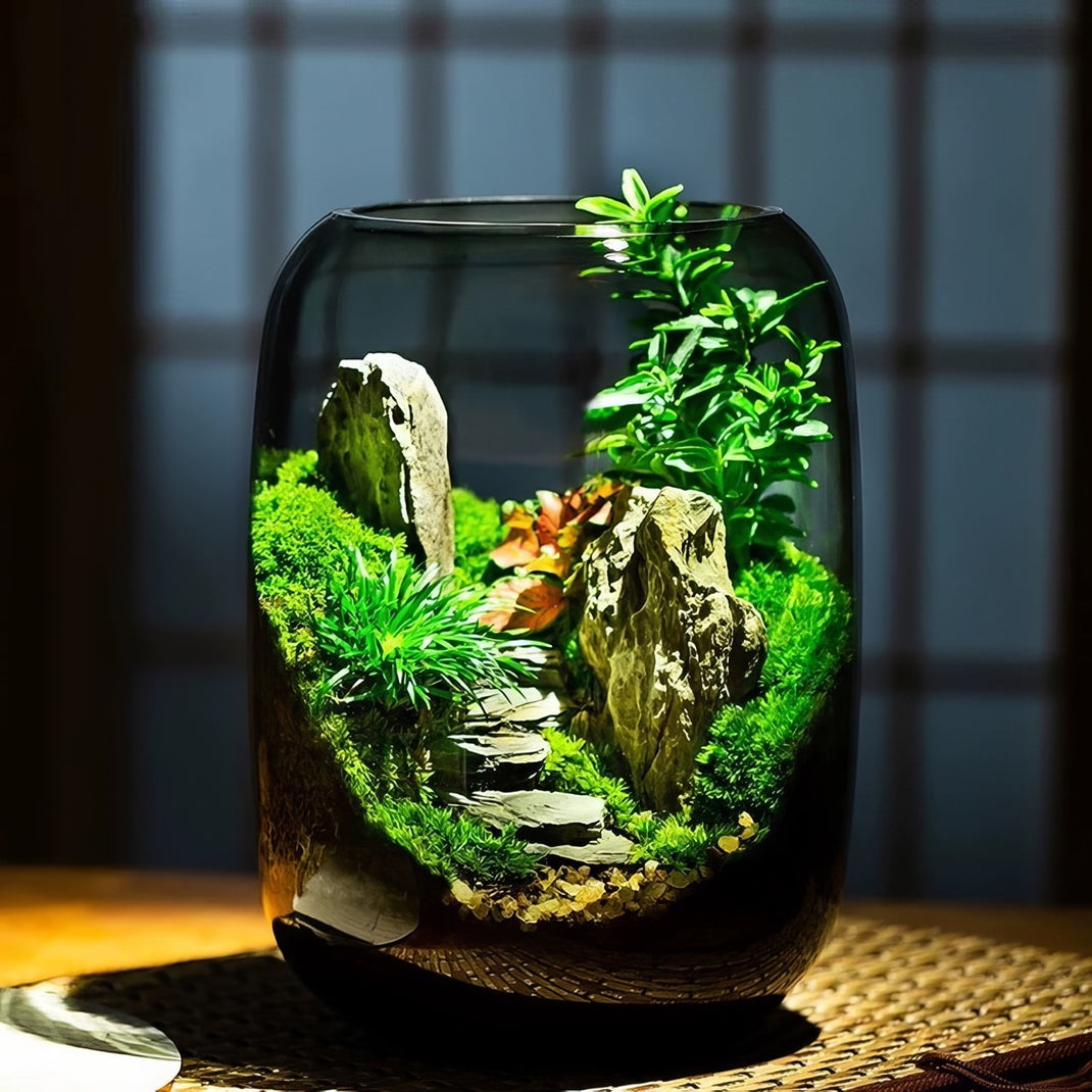 PlantPico Tiny World | Low-Maintenance Living Terrarium | LED-Lit ...