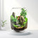 PlantPico Tiny World | Low-Maintenance Living Terrarium | LED-Lit ...